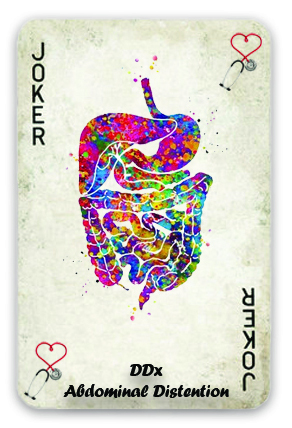 GIT Internal Medicine Premium Block 6 | Medicogenic