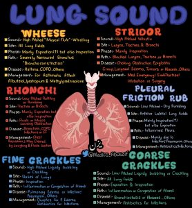 Twilight Anesthesia | What makes it different ? | Medicogenic