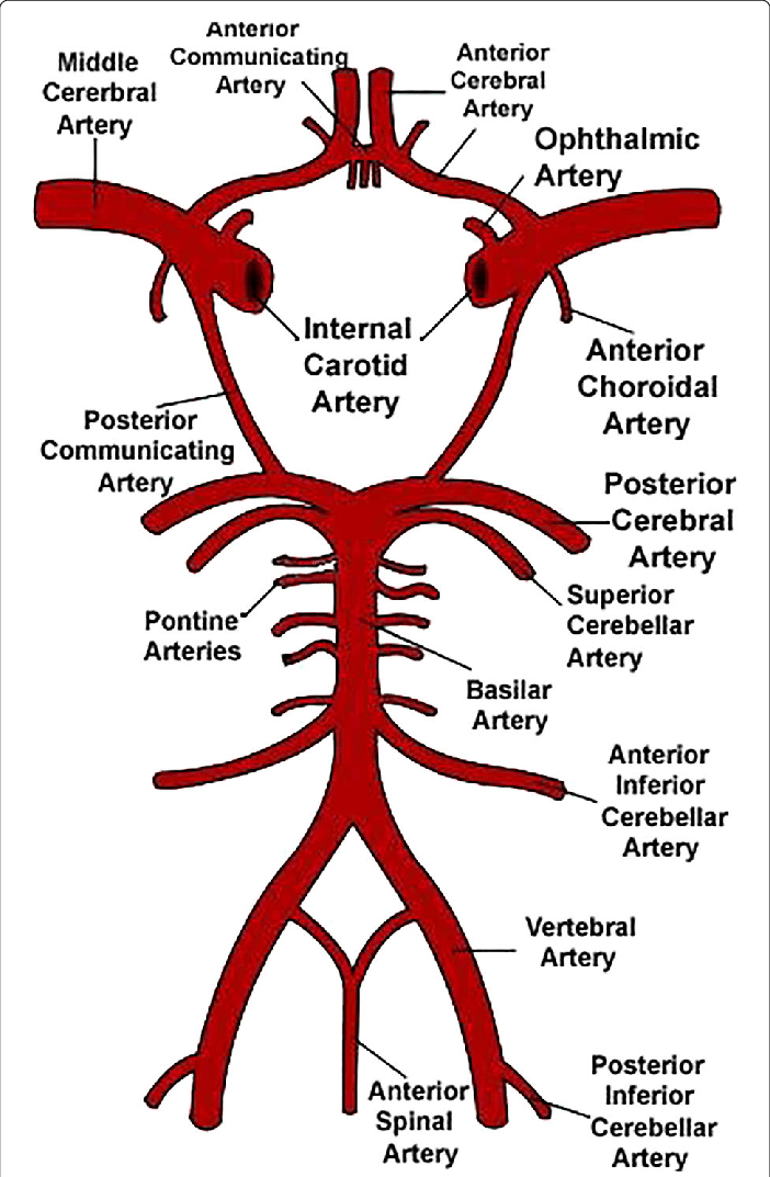 Online OSCE Exam | Take Your OSCE Exam Online For Free.