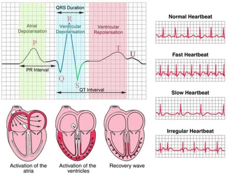 Twilight Anesthesia | What makes it different